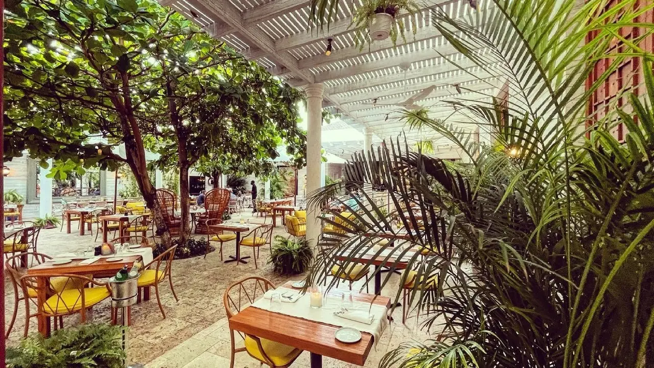Almond Tree Restaurant - Long Bay Hils, Turks & Caicos | OpenTable