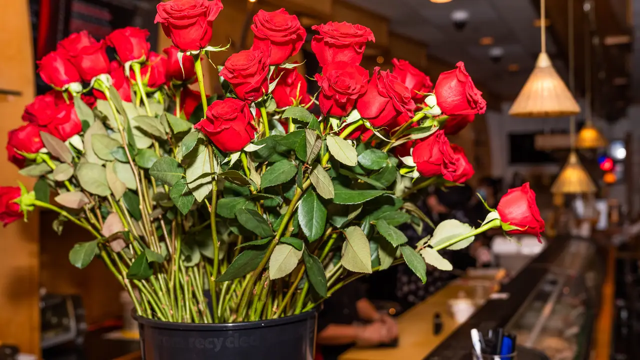 Samurai Hibachi Sushi & Bar - Duke St Restaurant - Alexandria, VA ...