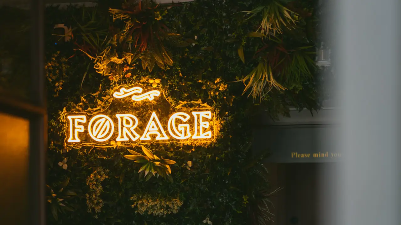 Forage Restaurant - York, , York | OpenTable