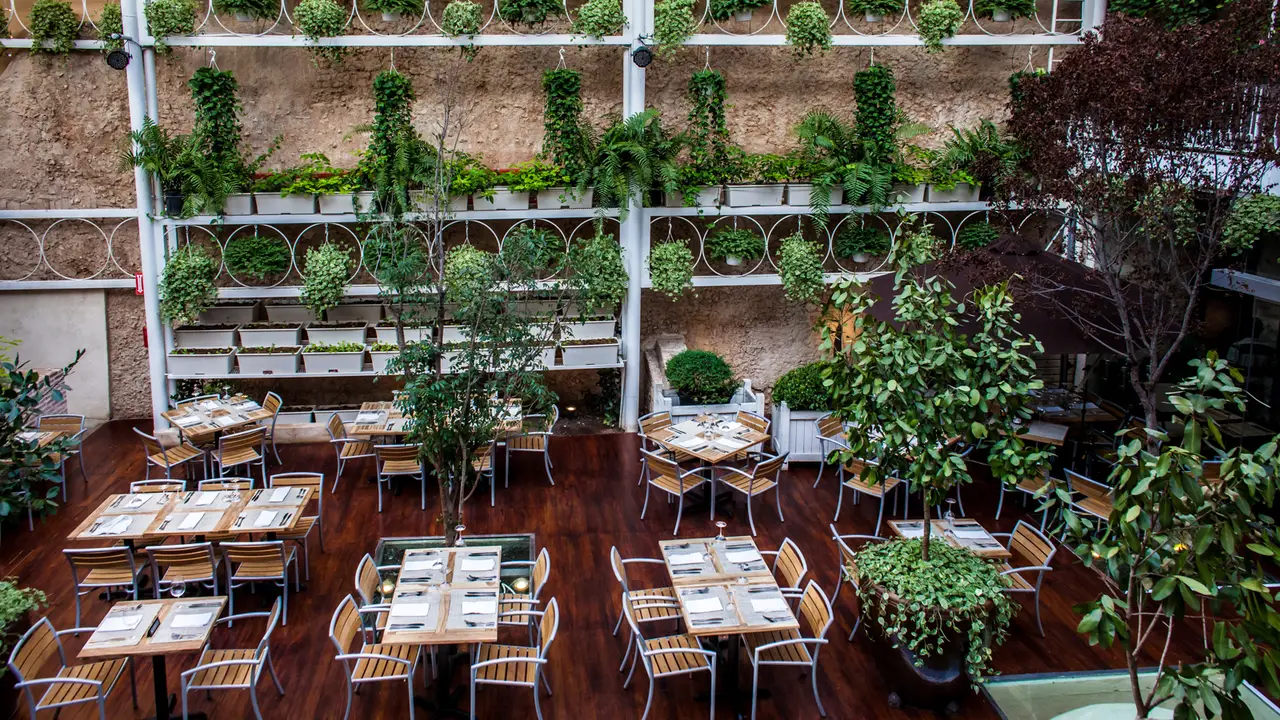 Buche Perico Restaurant - Santo Domingo, Distrito Nacional | OpenTable