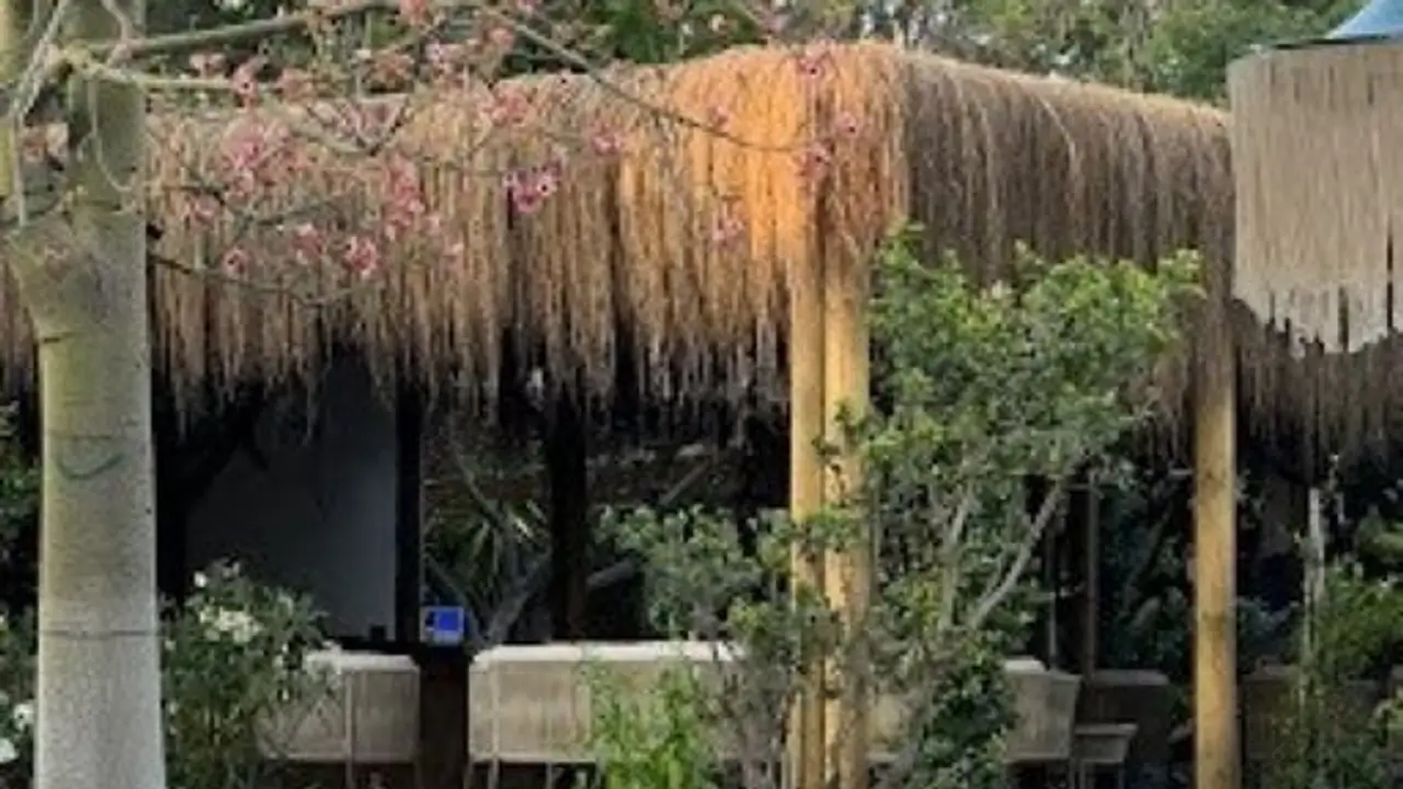 Mezra Yalikavak - Updated 2024, Turkish Restaurant in Bodrum, Mugla