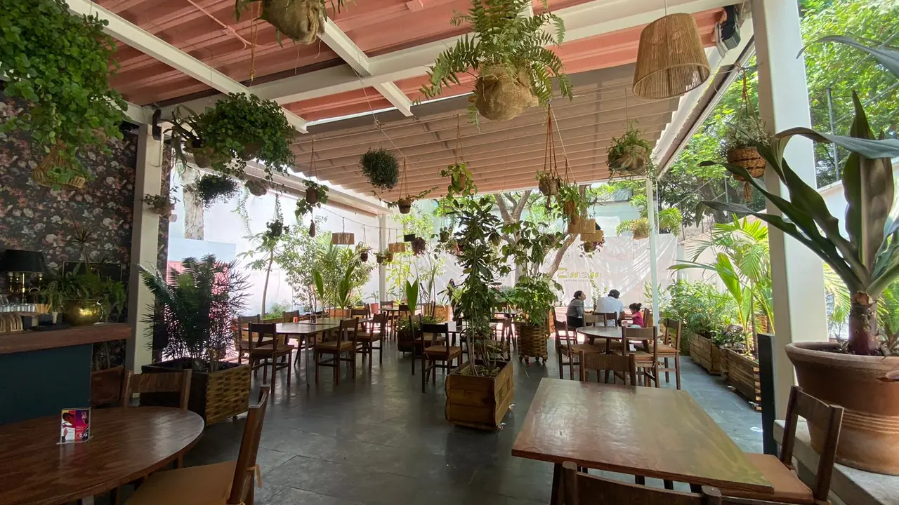 Zunzún Jungla Insular Restaurant - Ciudad de México, CDMX | OpenTable