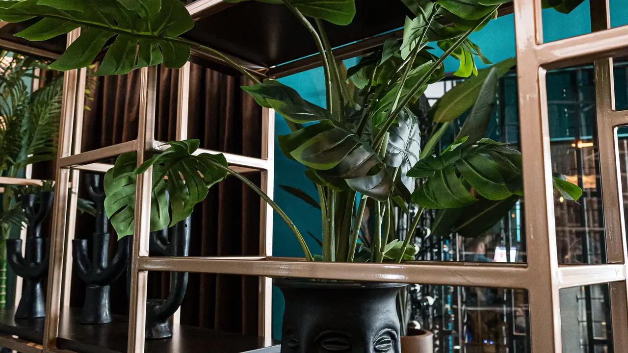 Primitivo Experience Steakhouse Restaurant - Managua, Managua | OpenTable