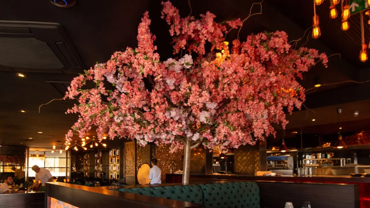 Coco Grill & Lounge Restaurant - London, Greater London | OpenTable