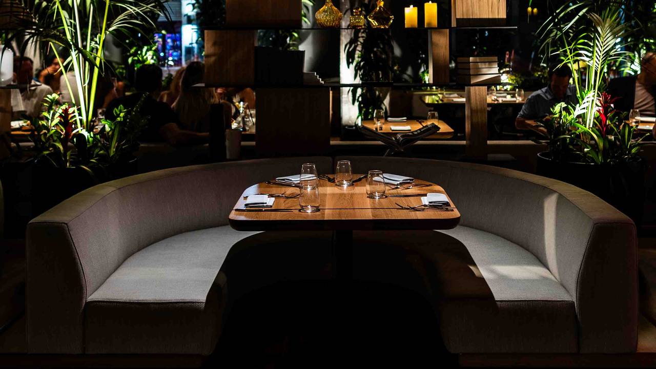 Diners' Choice: Best Ambiance restaurants in Austin