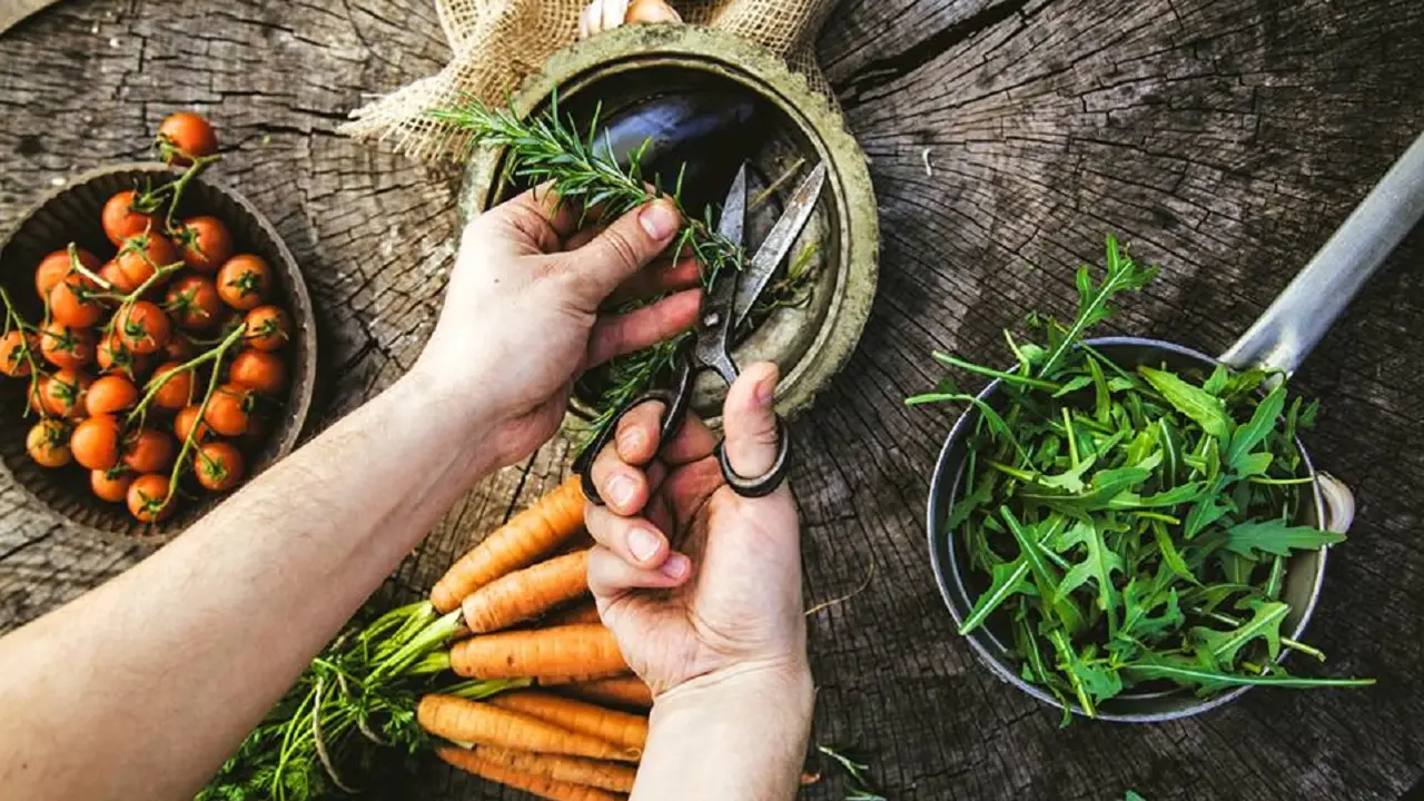 The Feasting Shed @The Garden Feast Restaurant - Werribee, AU-VIC ...