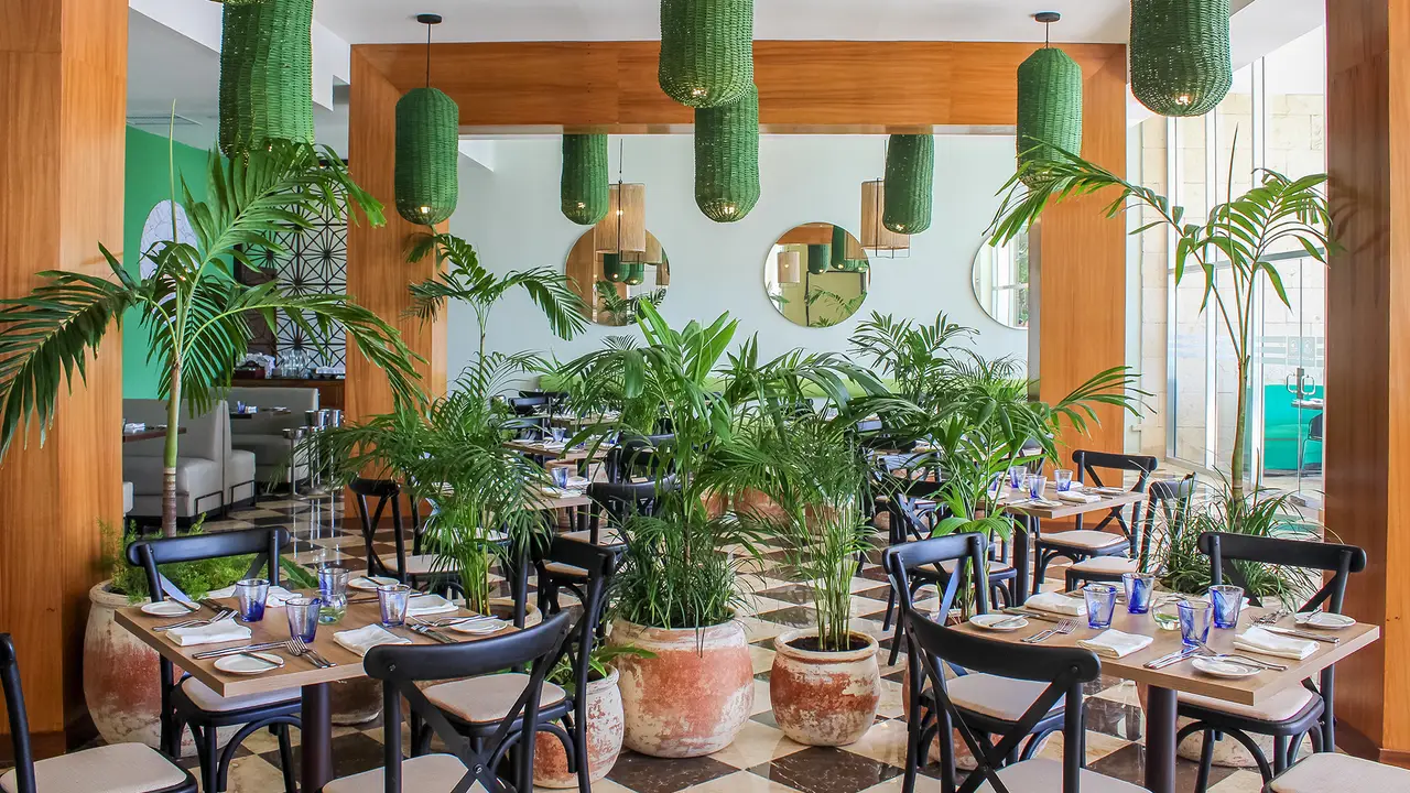 Sea Olive - The Fives Beach Restaurant - Playa del Carmen, ROO | OpenTable