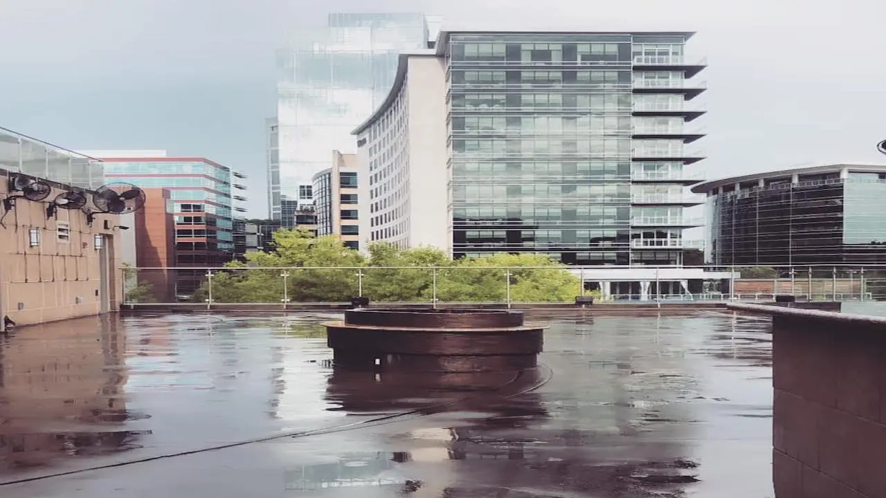 Rose Rooftop & Restaurant - The Woodlands, TX | OpenTable