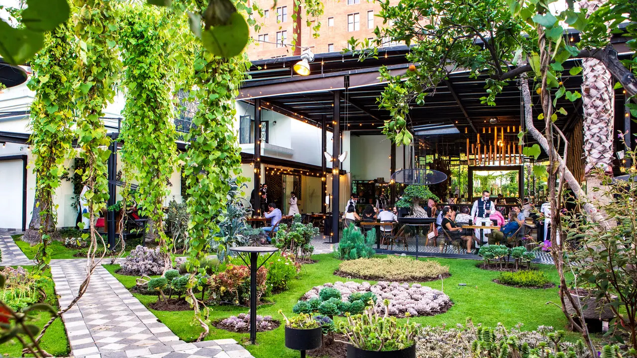 BRUNA Restaurante - Guadalajara, JAL | OpenTable