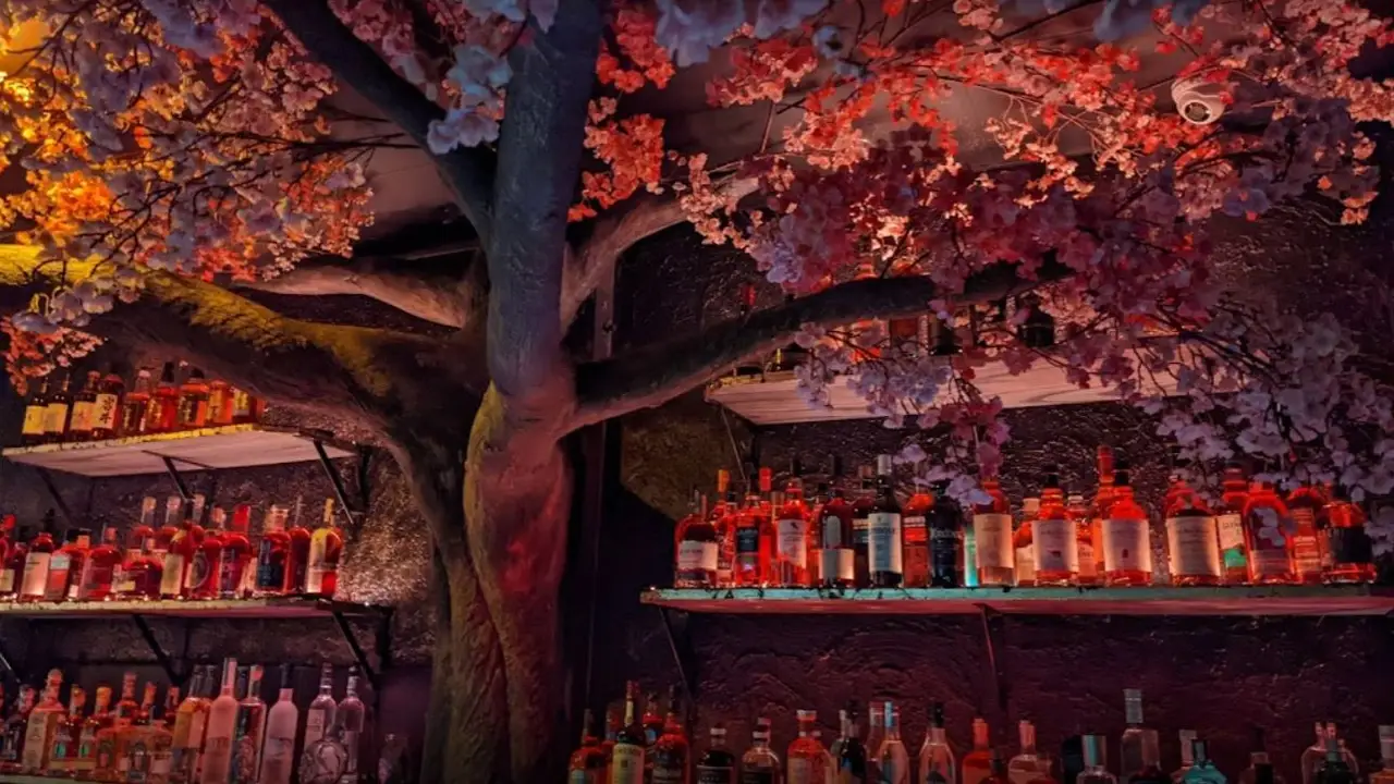 Restaurant Baby Dragon Bar Newtown - Newtown, AU-NSW | OpenTable