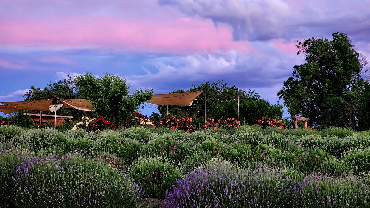 Restaurante J Bell Cellars & Charr Restaurant - Zillah, , WA | Reserva ...