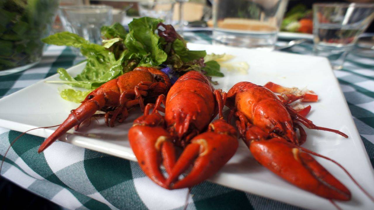 Crayfish Bob s Louisiana Crawfish Boil Restaurant London Greater London OpenTable