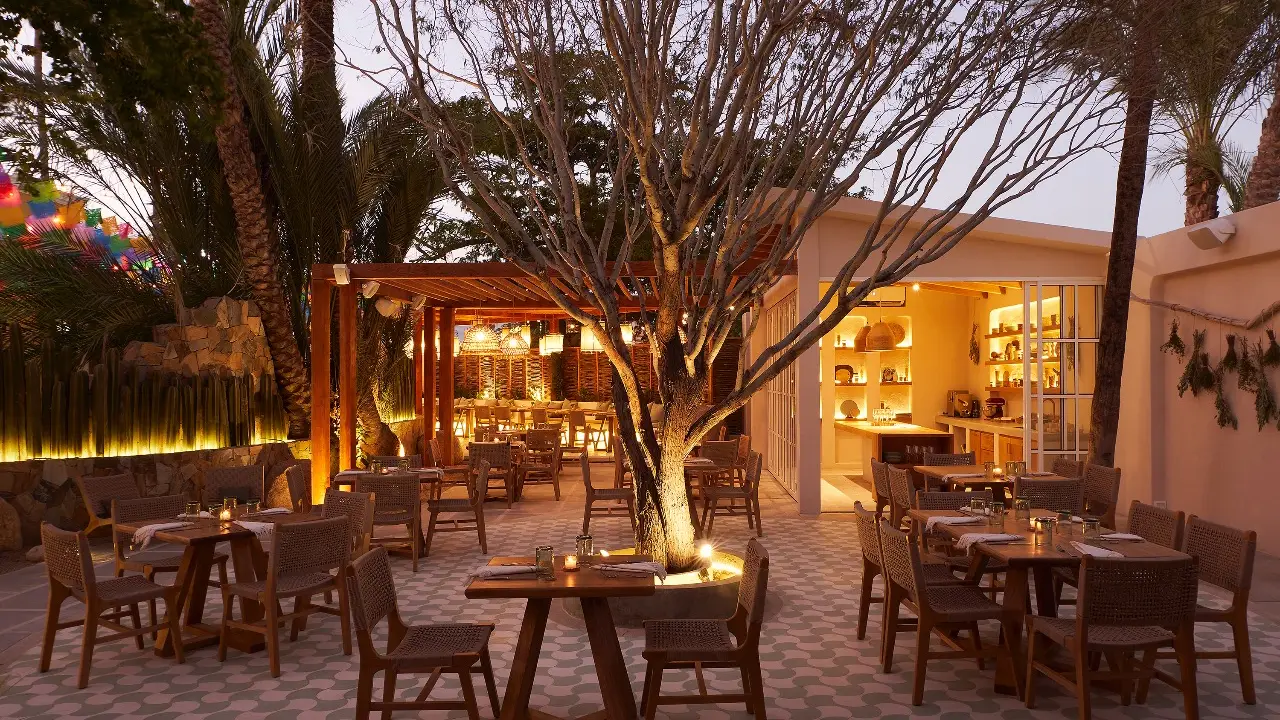 SAGE Restaurant - San José del Cabo, BCS | OpenTable