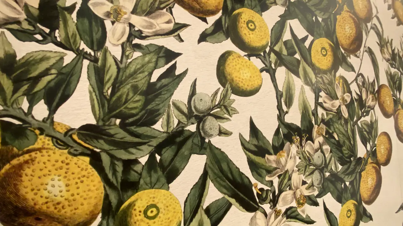 Gallo Family - Updated 2024, Italian Restaurant in Danbury, CT