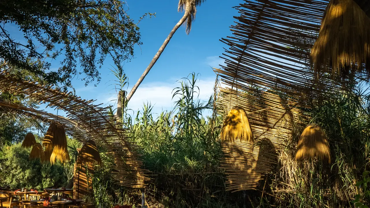 Semillon Restaurant - San Jose del Cabo, BCS | OpenTable