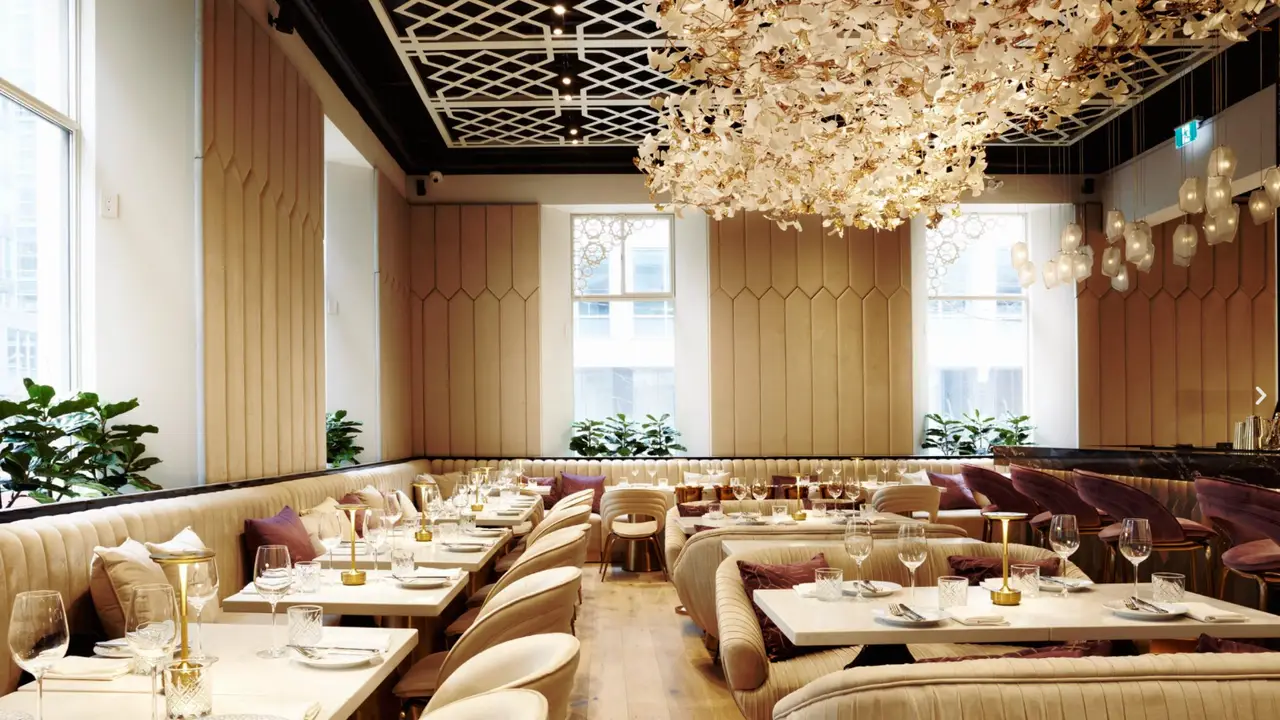 Laylak Lebanese Cuisine Toronto Restaurant - Toronto, ON | OpenTable