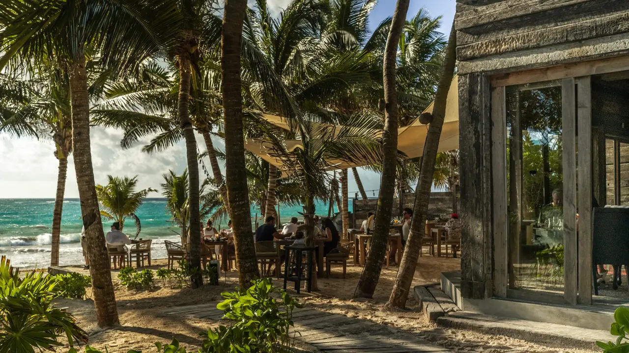 Restaurant Philosophy - Casa Malca - Tulum, , ROO | OpenTable