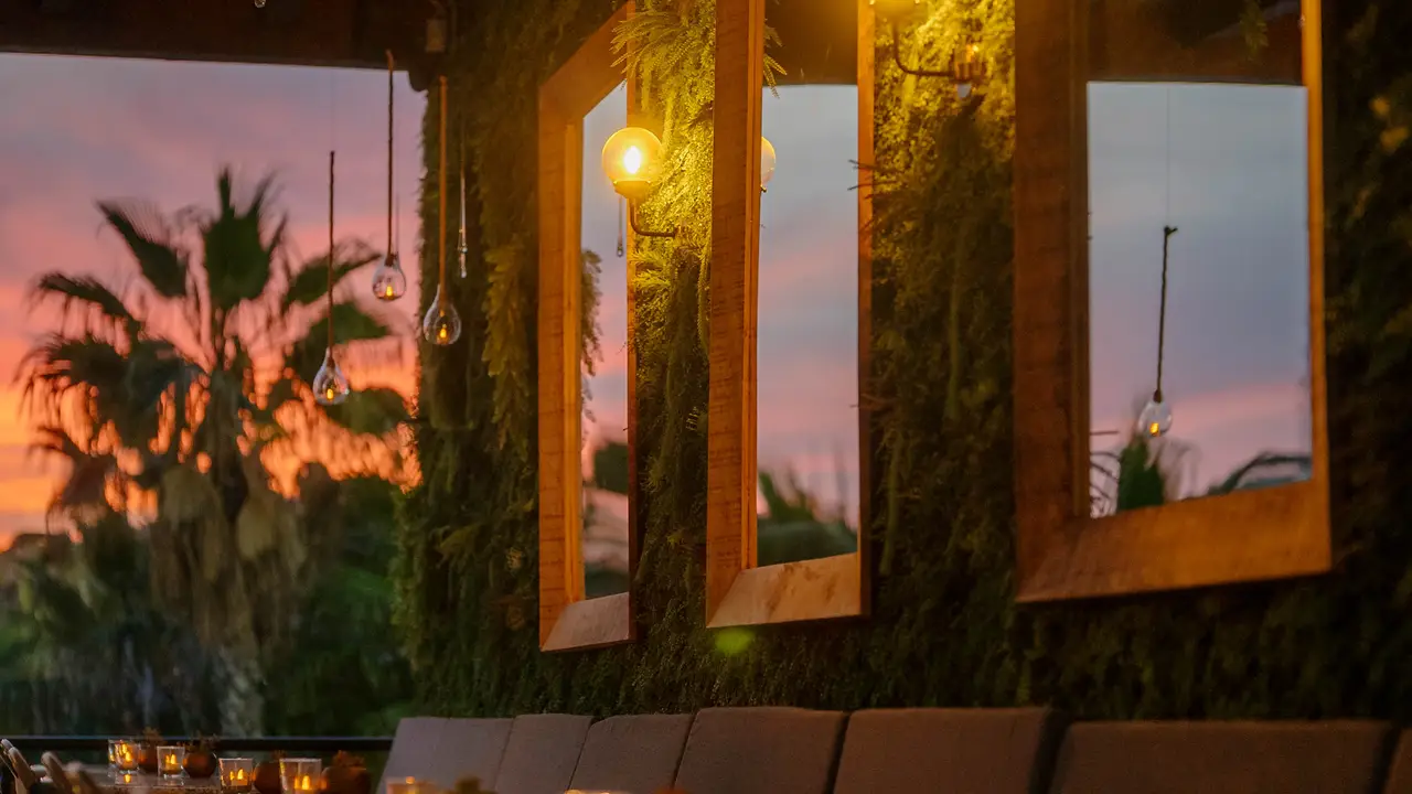 Simaruba Restaurant - San José del Cabo, BCS | OpenTable