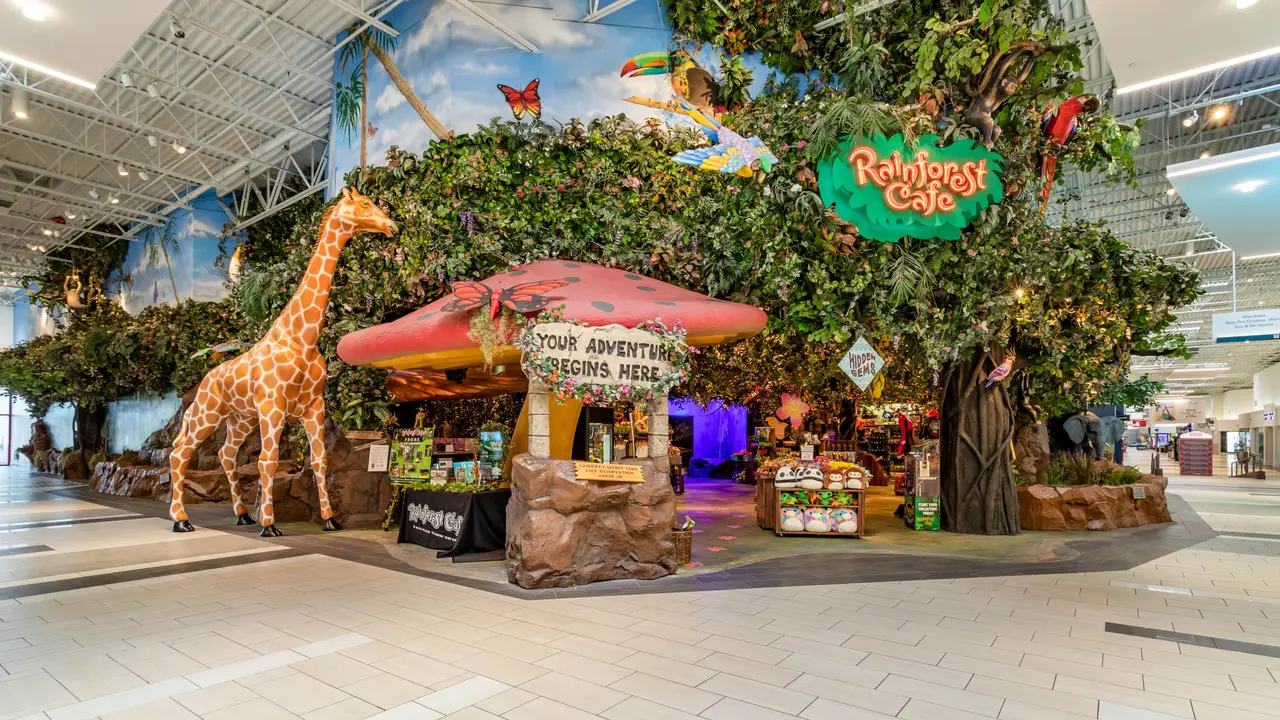 Rainforest Cafe - Katy Mills Restaurant - Katy, TX | OpenTable