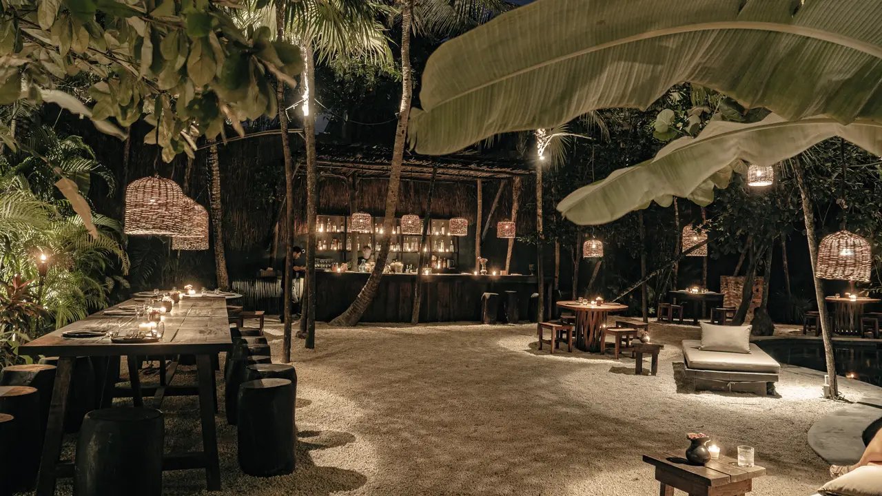 Tulum Treehouse Restaurant - Tulum, ROO | OpenTable
