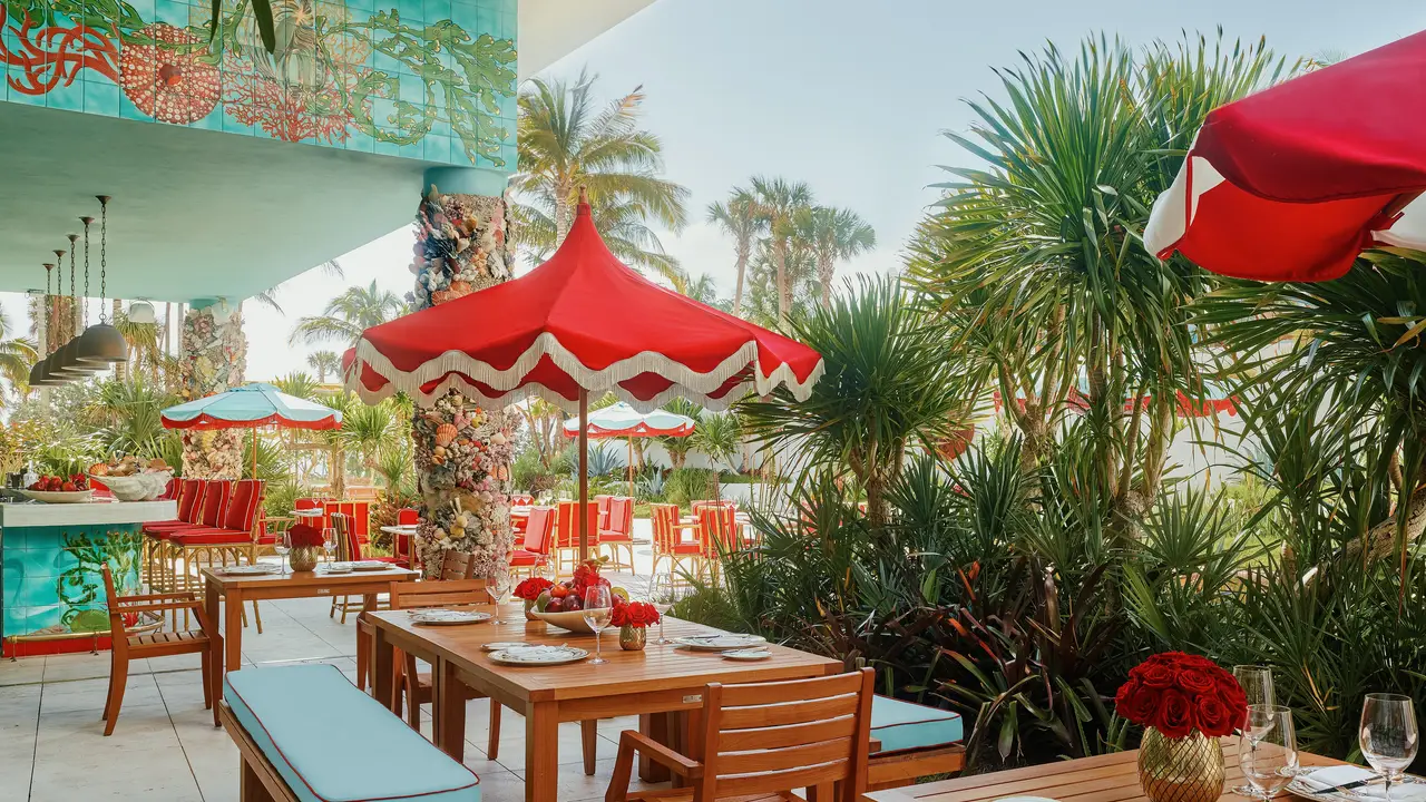Tree of Life Restaurant - Miami Beach, FL | OpenTable