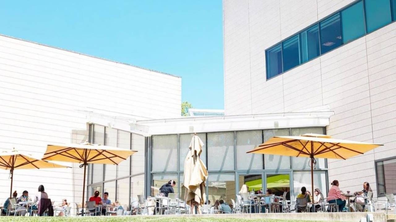 Nasher Museum Duke Wedding