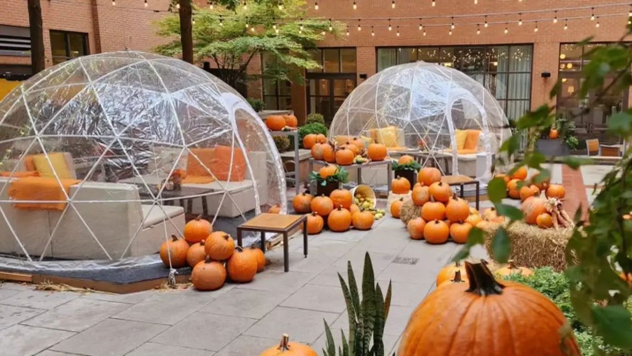 Proof Bar - The Yorkville Royal Sonesta Hotel Restaurant - Toronto ...