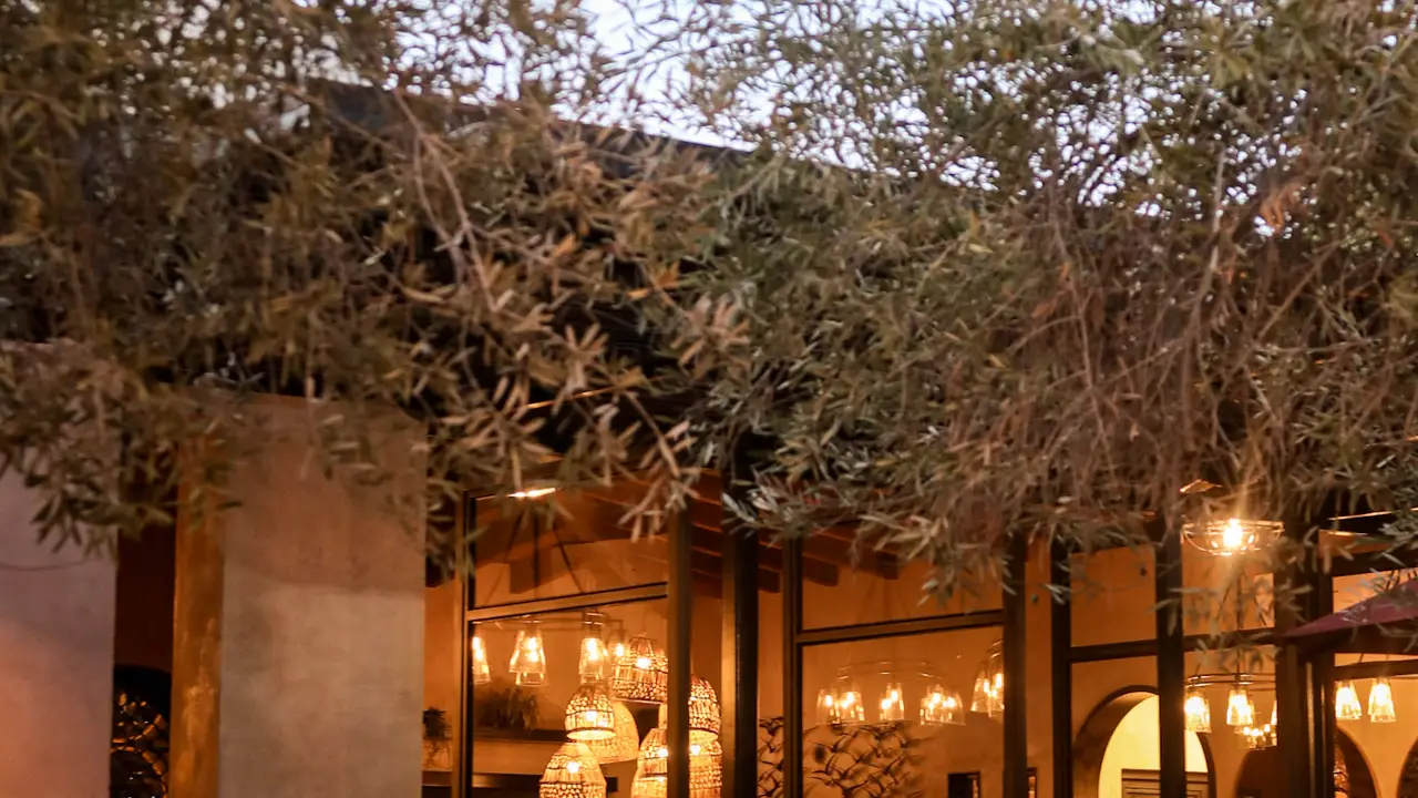Olivea Farm to Table Restaurant - Ensenada, BCS | OpenTable