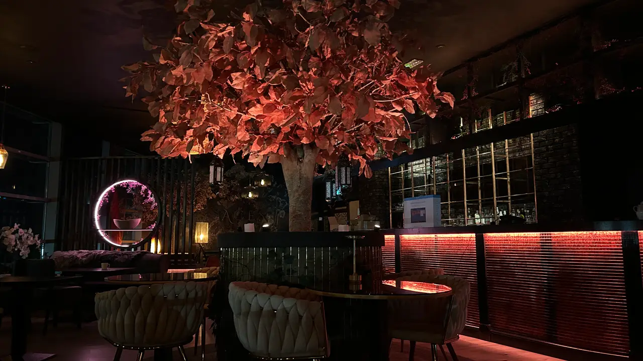 ACES Limerick Restaurant - Limerick, Co Limerick | OpenTable