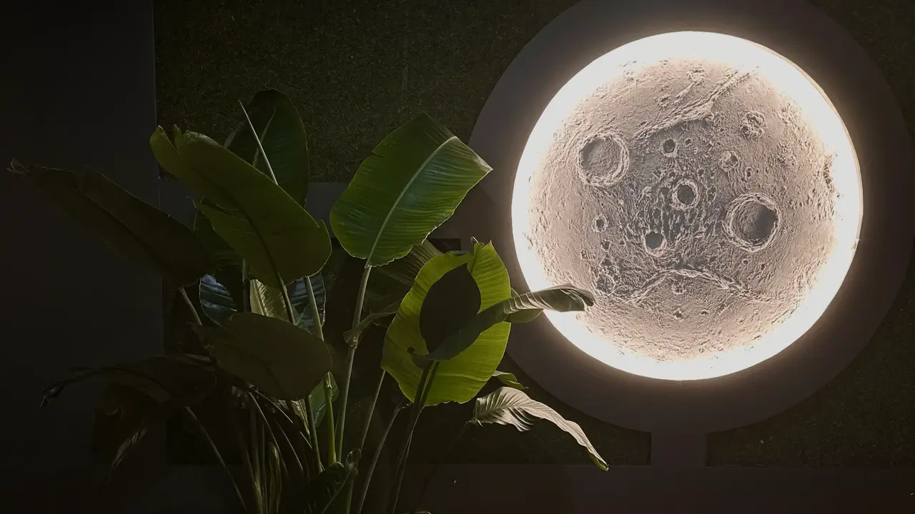 Delphi Levant Bar & Grill Restaurant - Toronto, ON | OpenTable