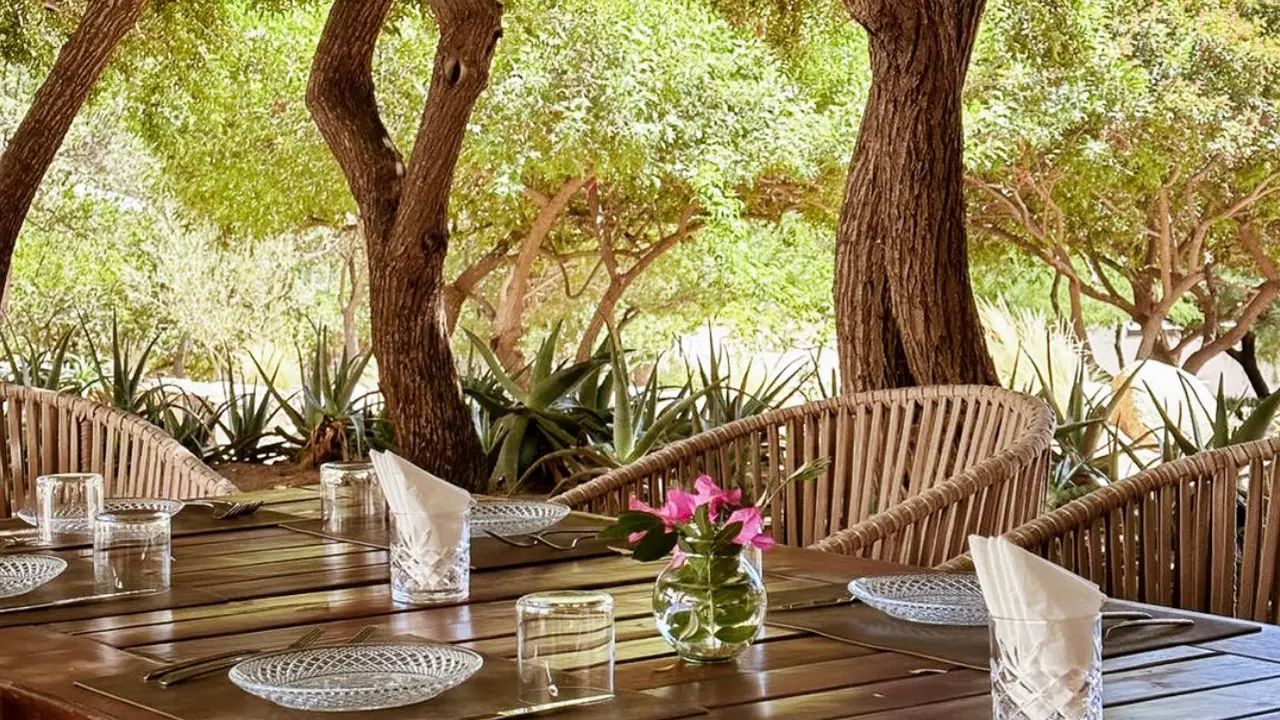 Damiana Restaurant - Valle de Guadalupe, BCN | OpenTable