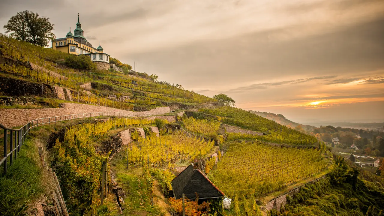 Spitzhaus Radebeul Restaurant - Radebeul, SN | OpenTable