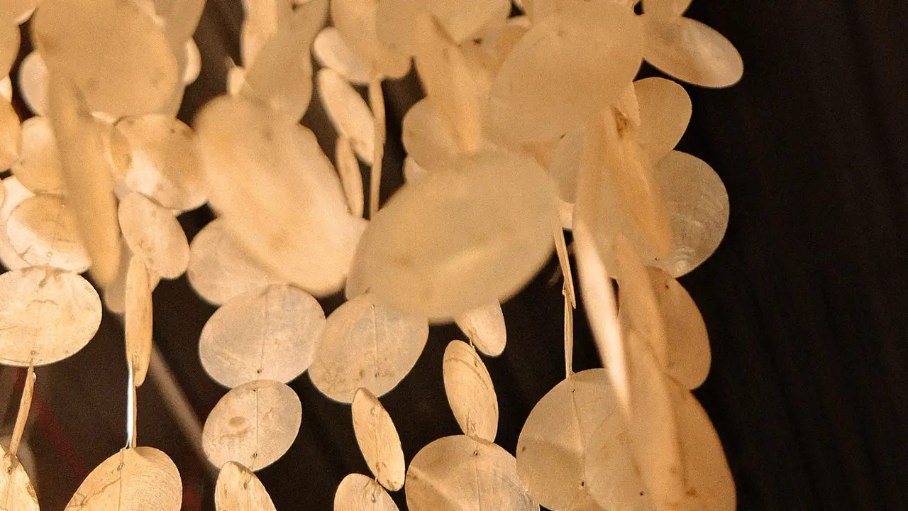 Askal Restaurant - Melbourne, AU-VIC | OpenTable