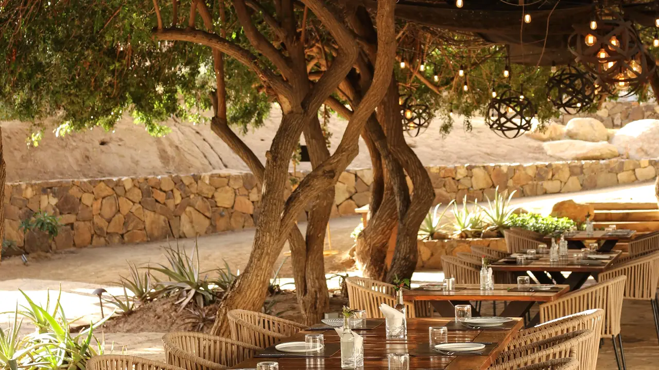 Damiana Restaurant - Valle de Guadalupe, BCN | OpenTable