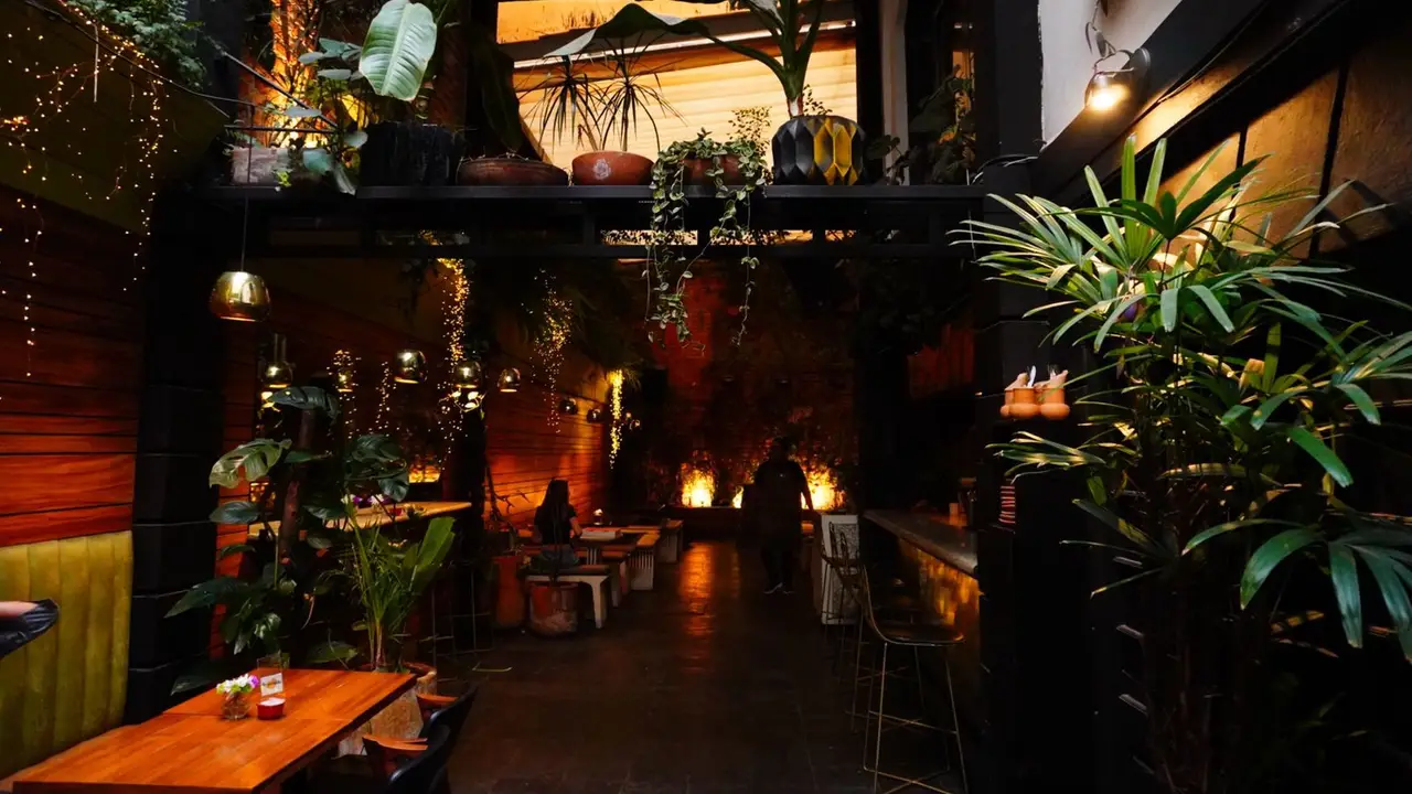 Ajeno Restaurant - Roma Norte, CDMX | OpenTable