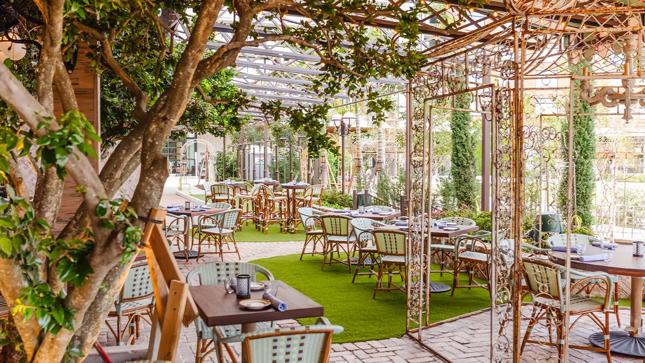 Elisabetta's Ristorante- West Palm Beach Restaurant - West Palm Beach ...