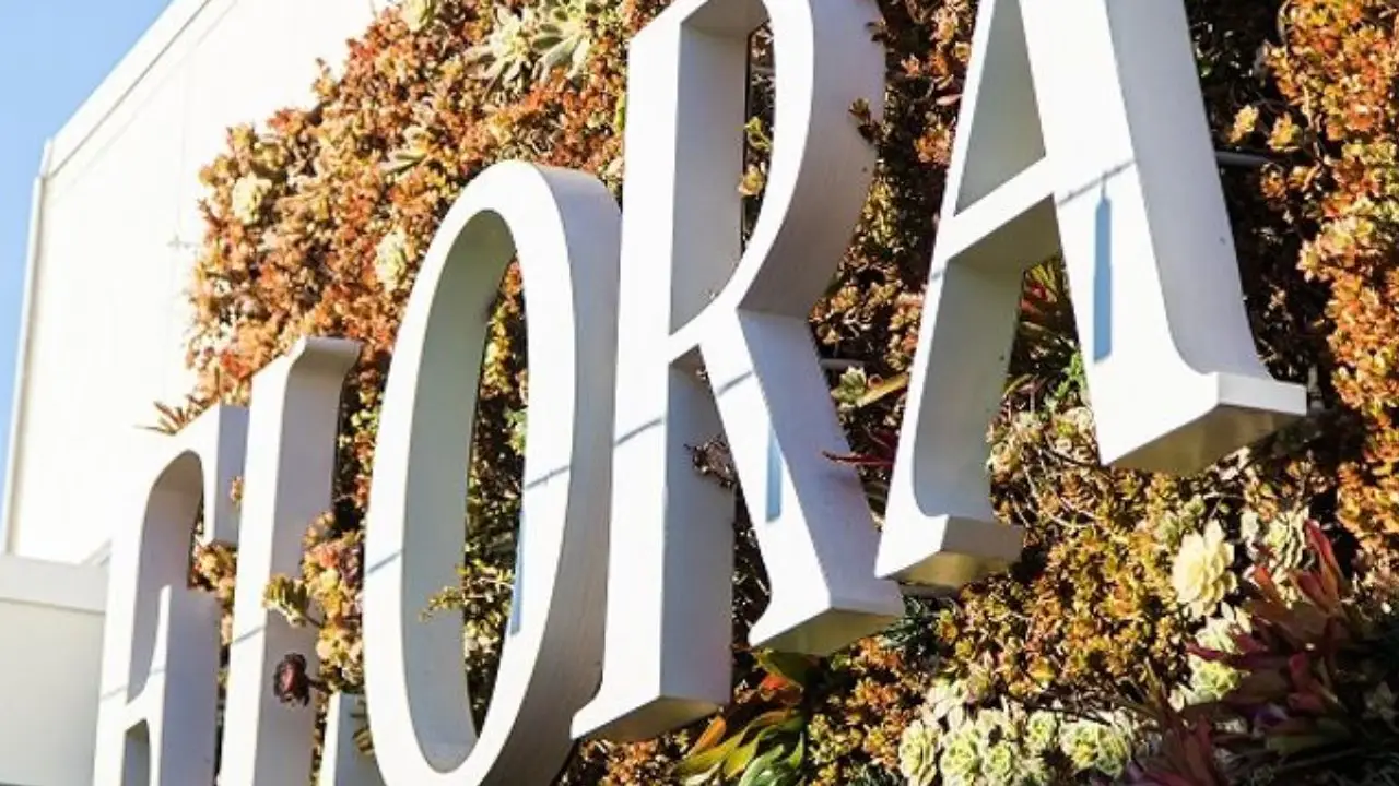 Restaurante Flora Rooftop Bar & Lounge - El Segundo, , CA | OpenTable