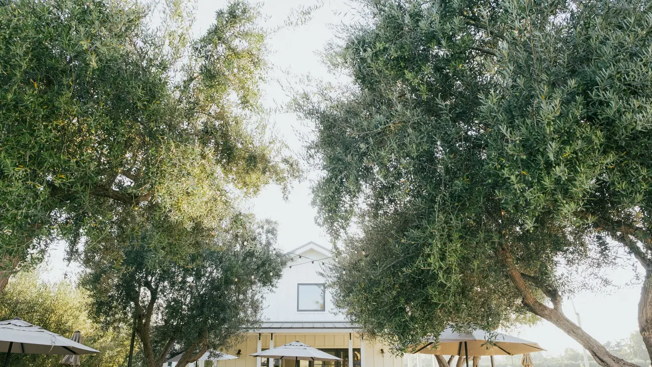 Restaurante Biddle Ranch Vineyard - San Luis Obispo, , CA | OpenTable