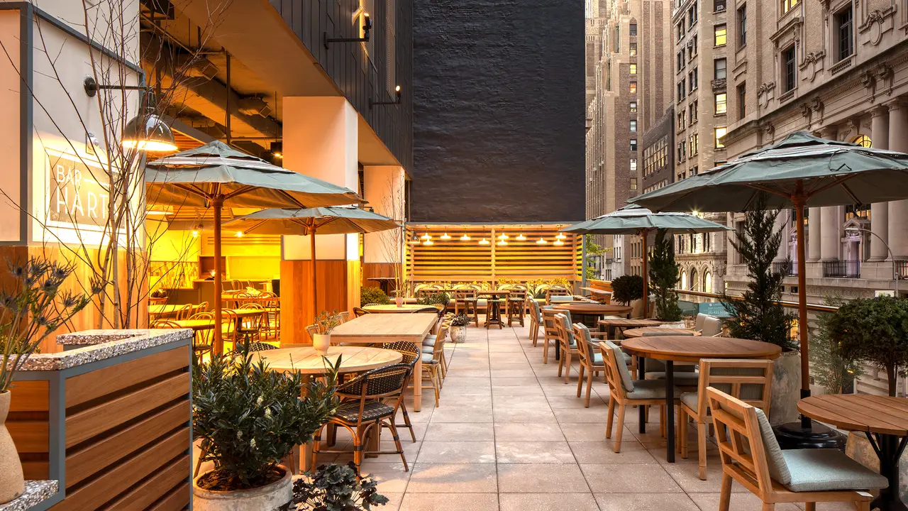 Bar Harta Restaurant - New York, NY | OpenTable
