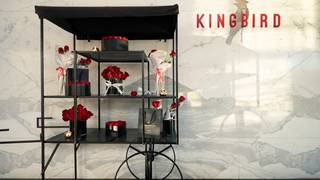 Kingbird at The Watergate Hotel Restaurant - Washington, DC | OpenTable