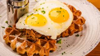 The Harp - Patriot Place Restaurant - Foxborough, MA | OpenTable