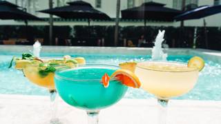 Sola Miami Beach - Updated 2025, Contemporary American Restaurant in ...