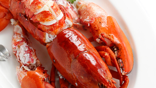 Chops Lobster Bar - Boca Raton - Top Rated Steakhouse | OpenTable