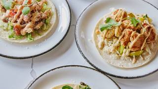 The Painted Burro - Harvard Square Restaurant - Cambridge, MA | OpenTable