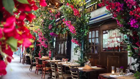 Flower Themed Restaurant Nyc | Best Flower Site