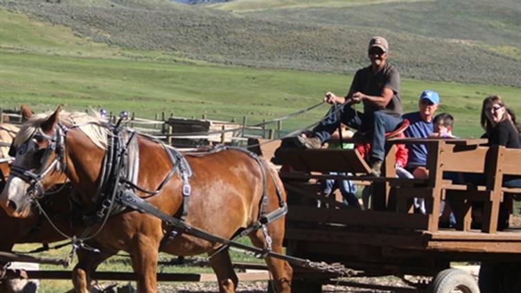 4 Eagle Ranch | Wolcott, Colorado, United States - Venue Report