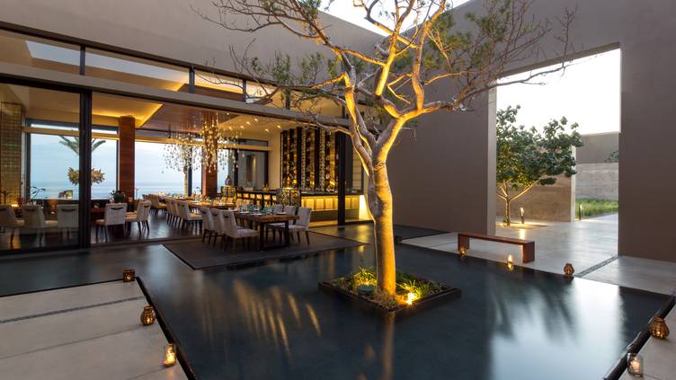 Cafe des Artistes - Los Cabos | San José del Cabo, Baja California ...