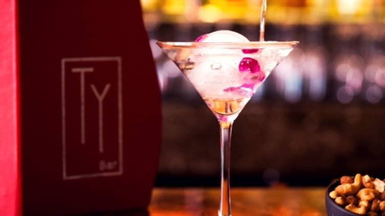 Ty Bar - Four Seasons New York in New York, NY - Trip Canvas