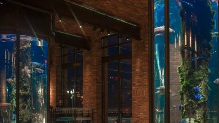 Waterbar | San Francisco, Nayarit, Mexico - Venue Report