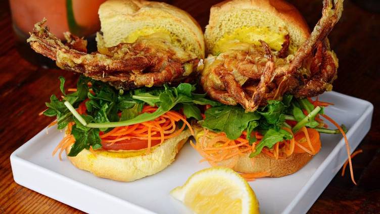 BITES | Chicago, Illinois, United States - Venue Report